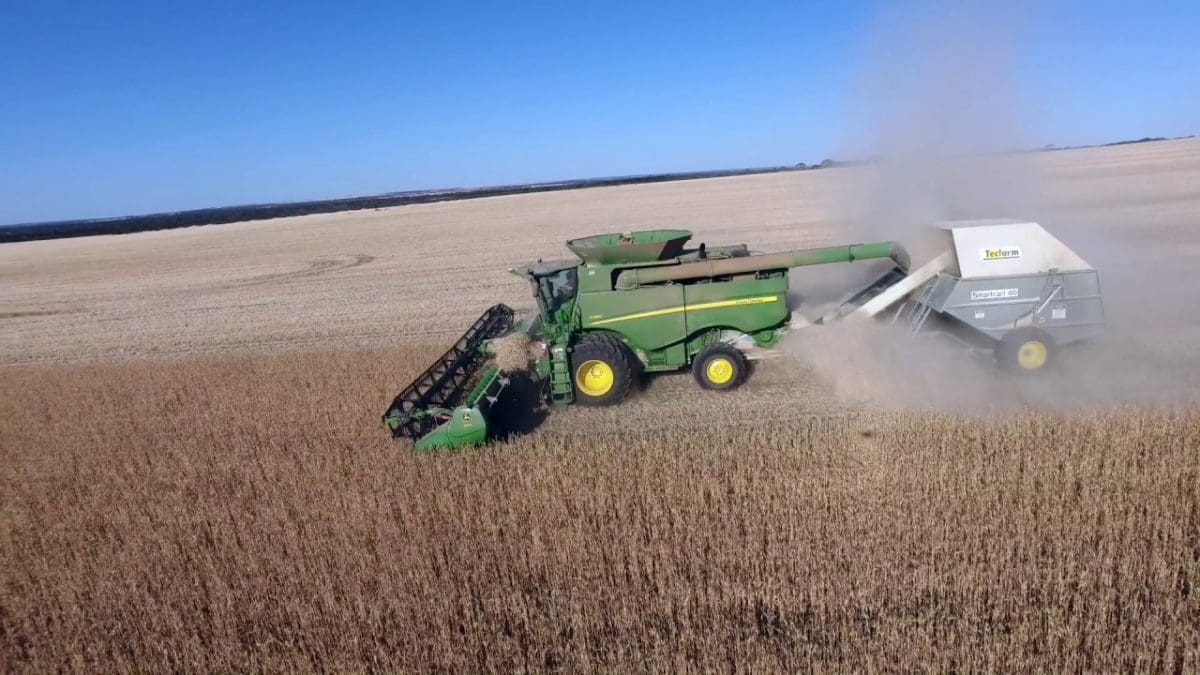 WA’s 2019 winter crop defined by season of extremes - Grain Central