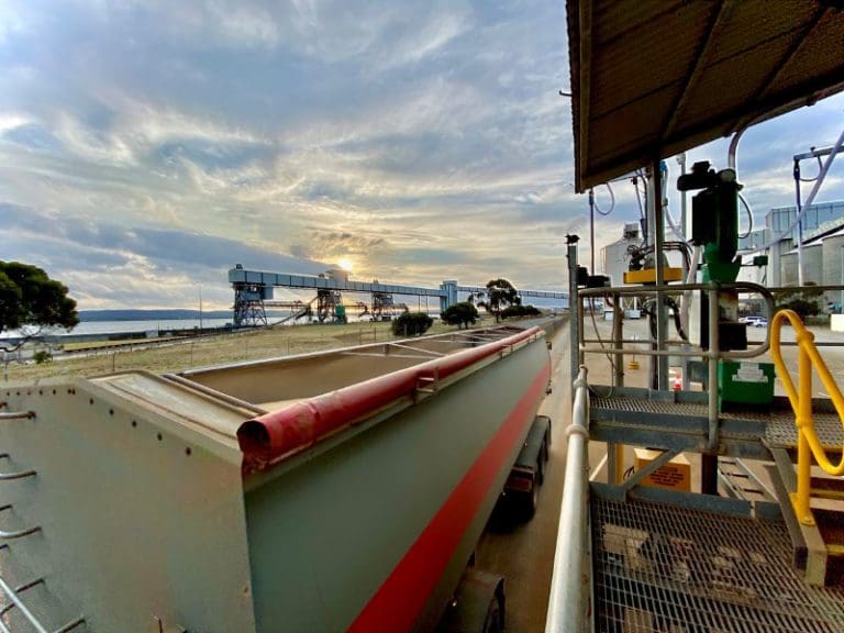 Feedgrain Focus: Barley jumps $5-$10/t on export demand - Grain Central