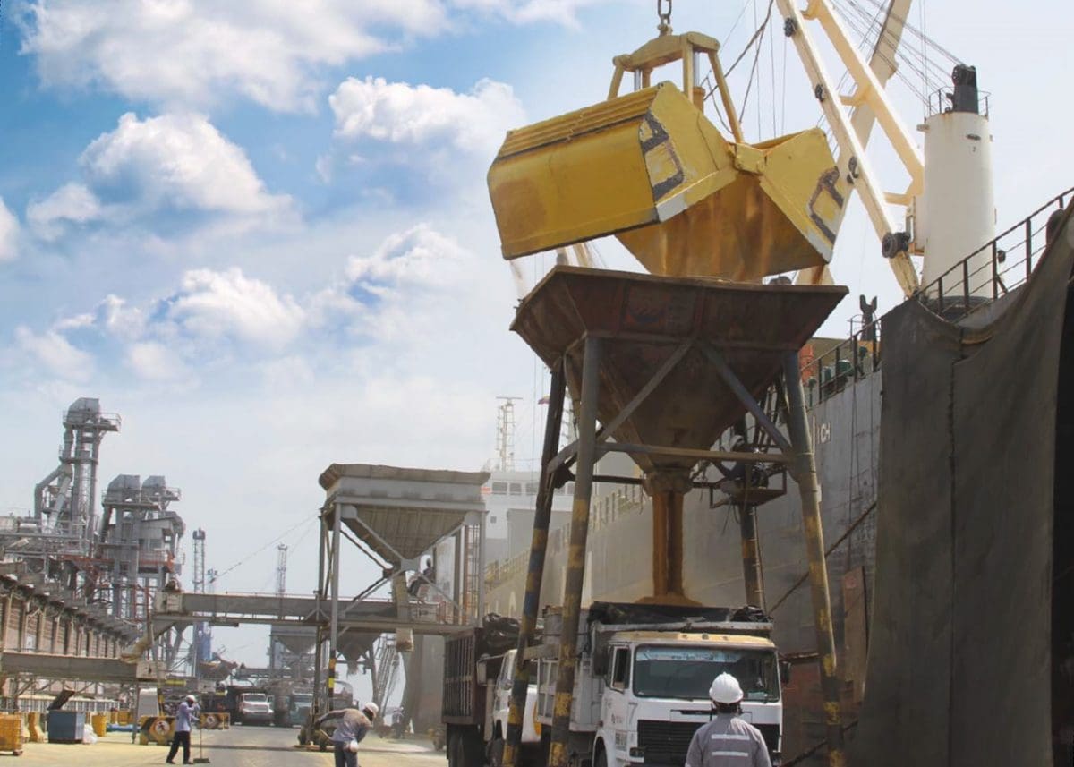 US corn DDGS to help fill cottonseed gap in more rations - Grain Central