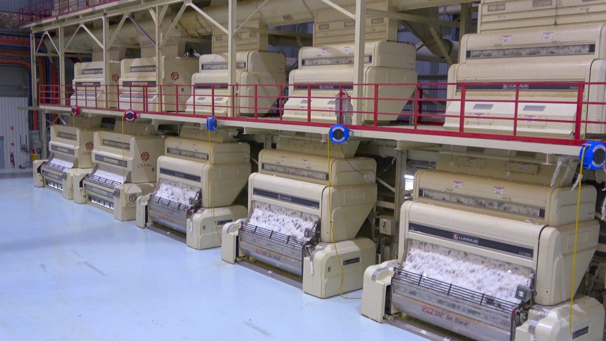 Expansion in NT, Riverina brightens cotton outlook - Grain Central