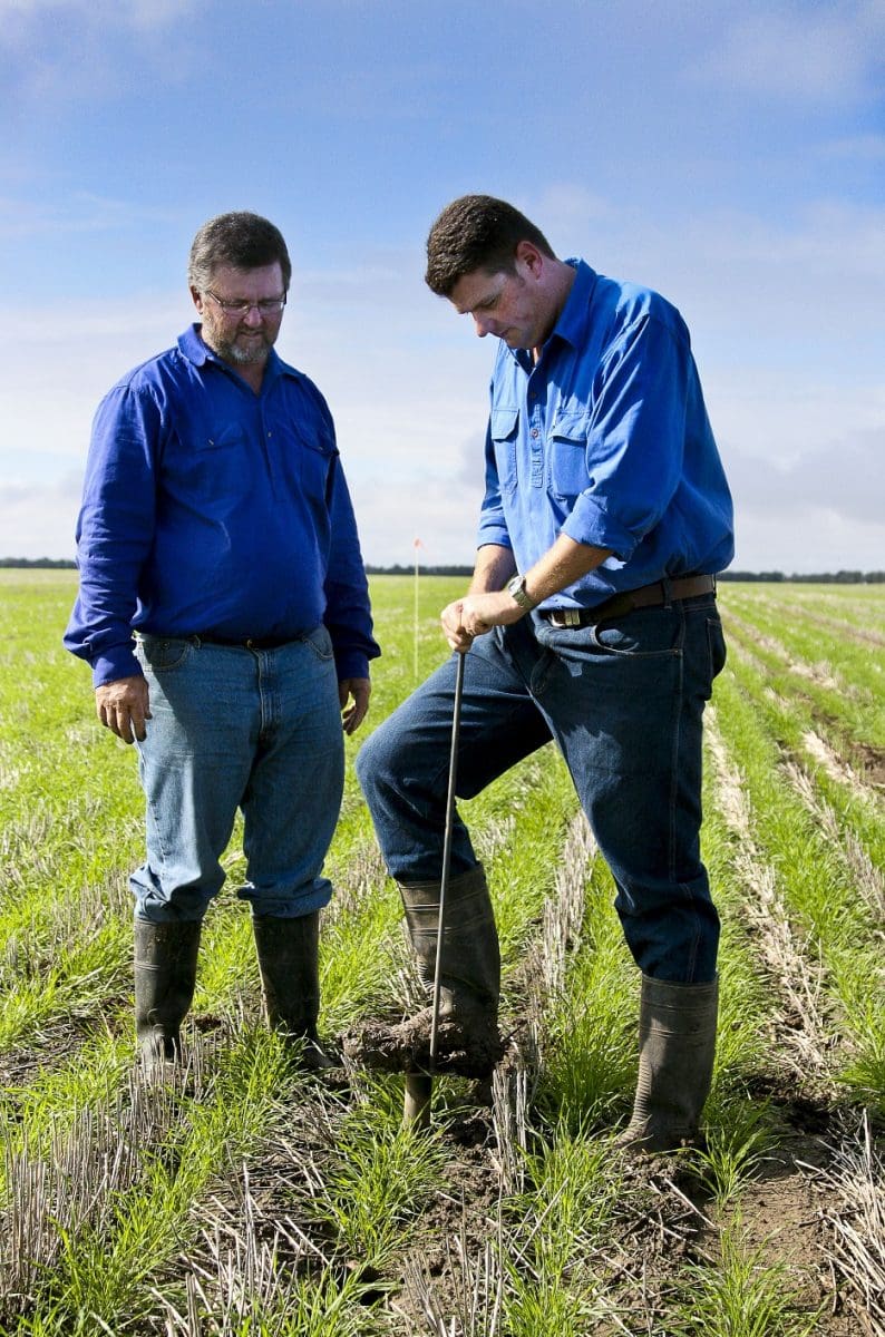 Test soils to reap fertiliser value - Grain Central