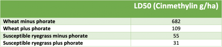 New herbicide, Luximax, gets its own new 'box' - Grain Central