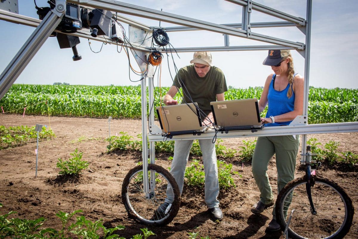 Hyperspectral cameras speed up screening for higher-yielding crop ...