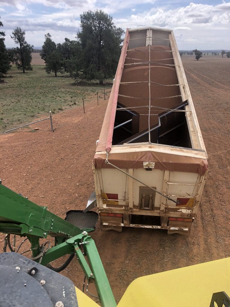 Forecast rain prompts hopes for big early canola planting - Grain Central