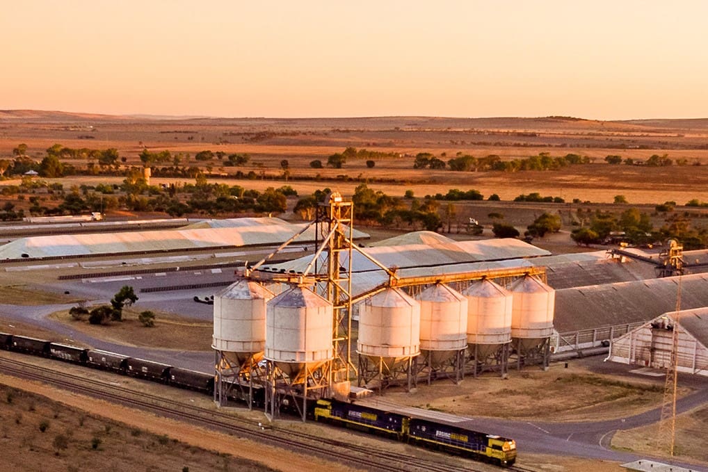 Viterra intake hits 3.97Mt as new-crop sites announced - Grain Central