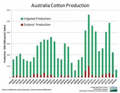 COVID-19 drives down global cotton demand: USDA - Grain Central