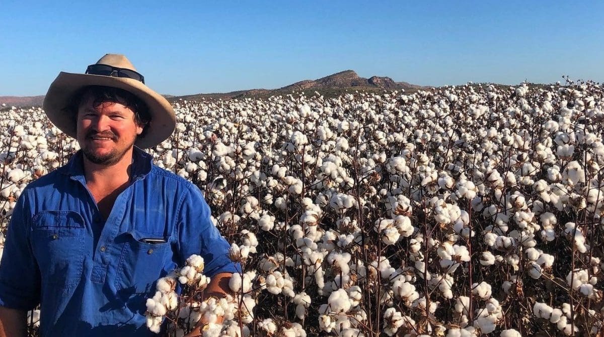 Coordination holds key to cotton expansion in Northern Australia ...