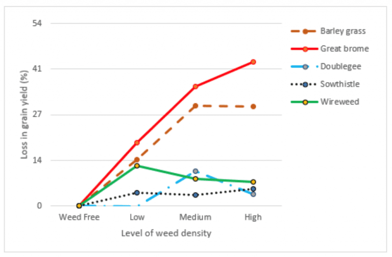 Weed community newcomers sure to cause trouble - Grain Central