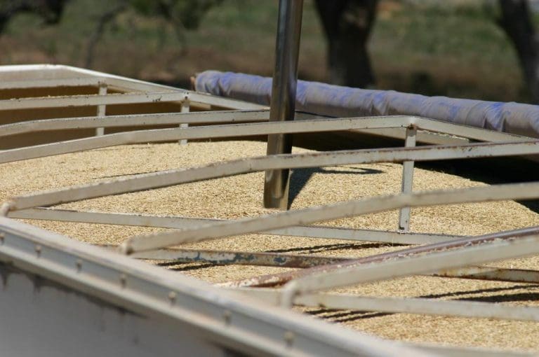 Australia ships 504,162t barley to China in April - Grain Central