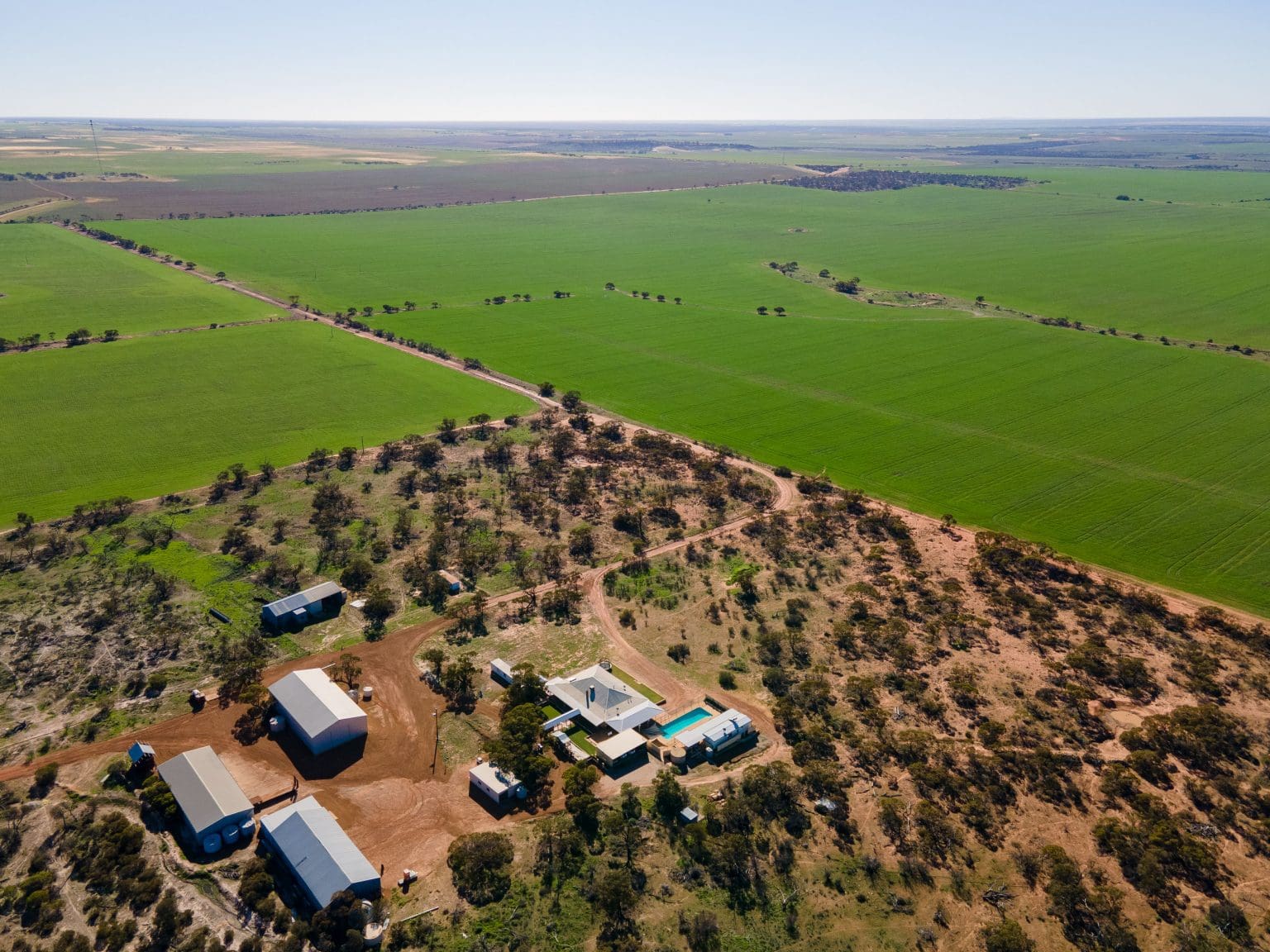 Warakirri buys into Geraldton zone with Yuna spread - Grain Central