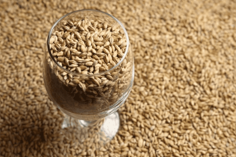 Australia exports 269,386t barley in May, down 60pc from April - Grain ...