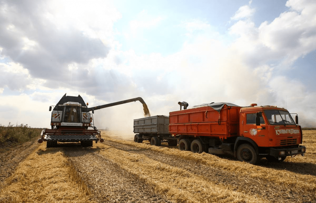 Black Sea wheat production stabilises - Grain Central