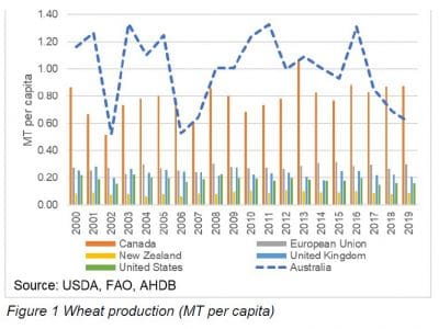 High wheat production ensures Australia’s grain security in COVID era ...
