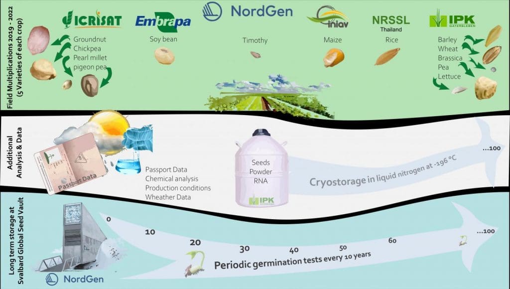 Svalbard Global Seed Vault commences 100-year seed viability experiment ...