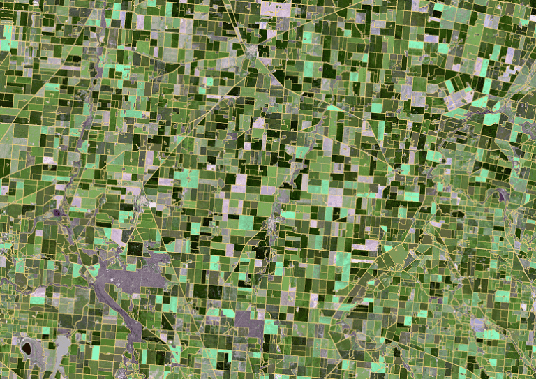 CSIRO maps 1.7 million cropping paddocks from space - Grain Central