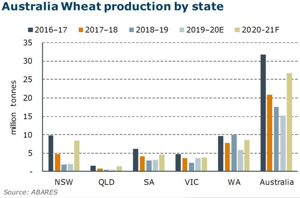 Call for industry planning ahead of bumper crop: ANZ - Grain Central