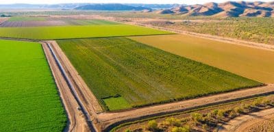 Northern Australia broadacre cropping potential tied to enterprise ...