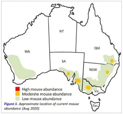 200828 Mouse update Figure 1 map - Grain Central