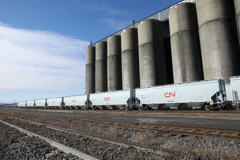 Canadian farmers on course for a bumper winter crop - Grain Central