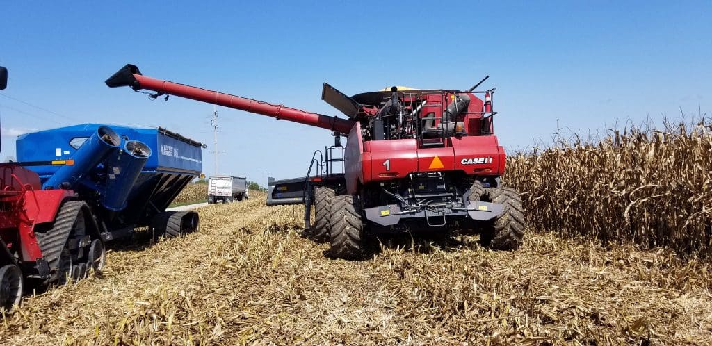 Uncertainty clouds global corn picture - Grain Central