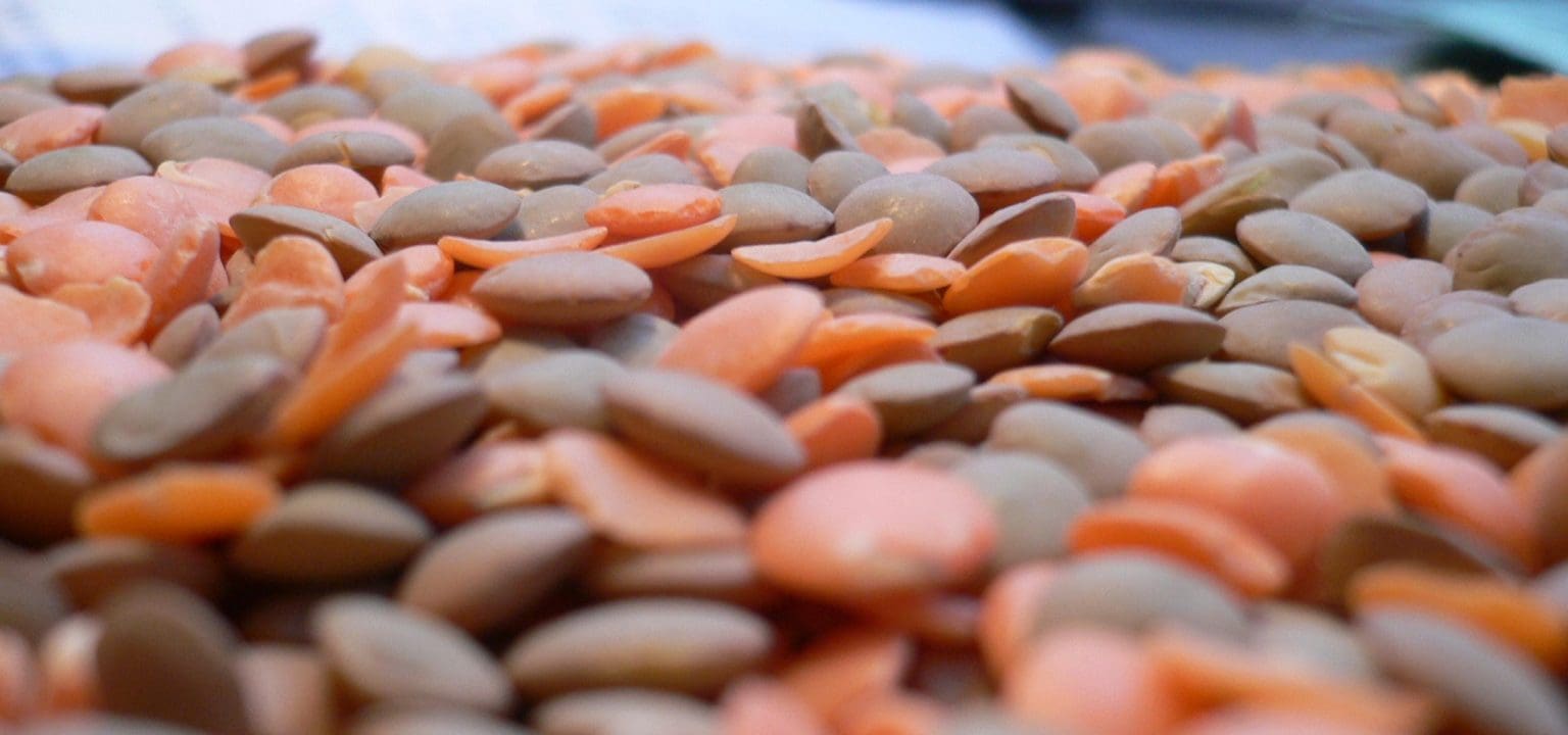 India drops lentil tariff to 10pc until 31 October - Grain Central