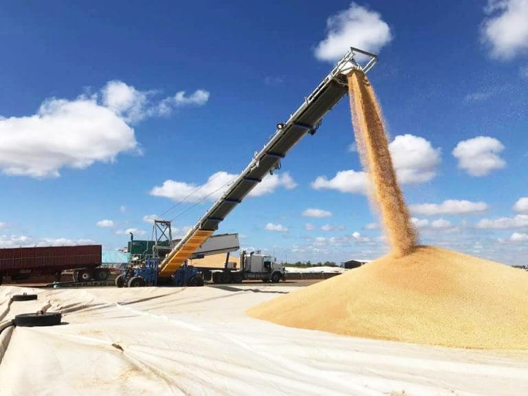 Feedgrain Focus: Wheat mostly higher on northern dry - Grain Central