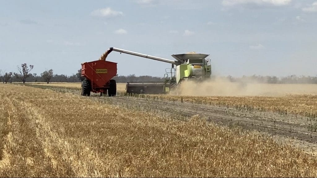Feedgrain Focus: Markets lift as rain clouds harvest - Grain Central