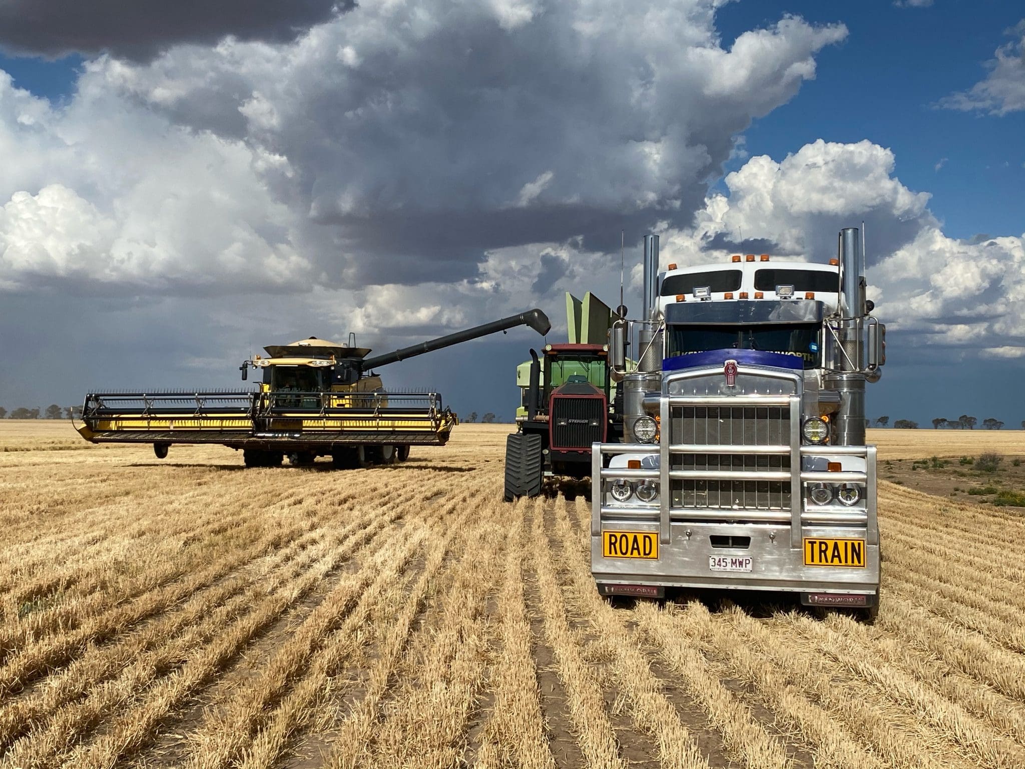Feedgrain Focus: Wheat strengthens on limited grower selling - Grain ...