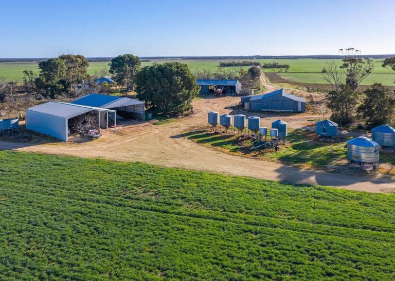 EP farms come forward to meet growing SA demand - Grain Central