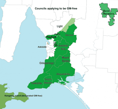 SA rejects GM-free council applications, opens way for GM crops - Grain ...
