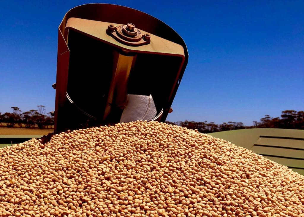 Australian chickpea, lentils exports rise in October: ABS - Grain Central