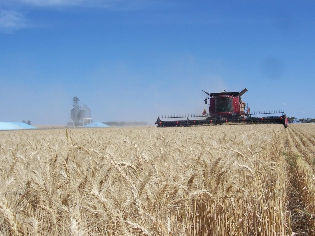 Big export surplus gives scope to grain pools - Grain Central