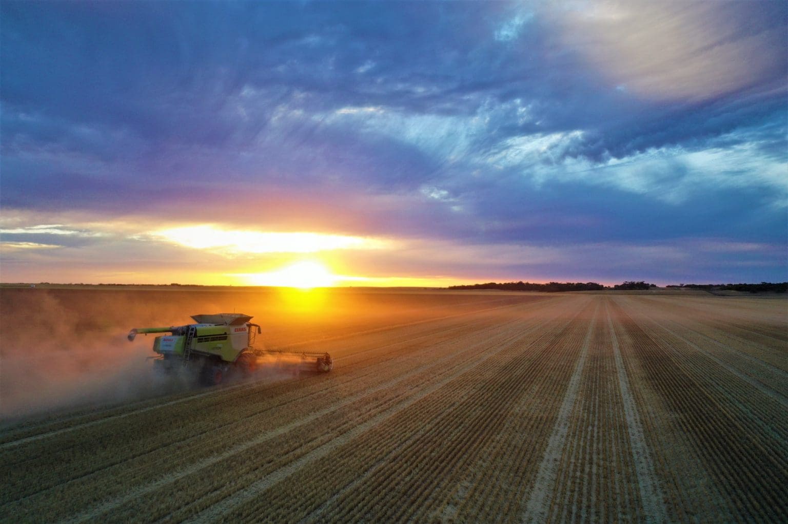 Feedgrain Focus: Wheat, barley spread narrows in thin market - Grain ...