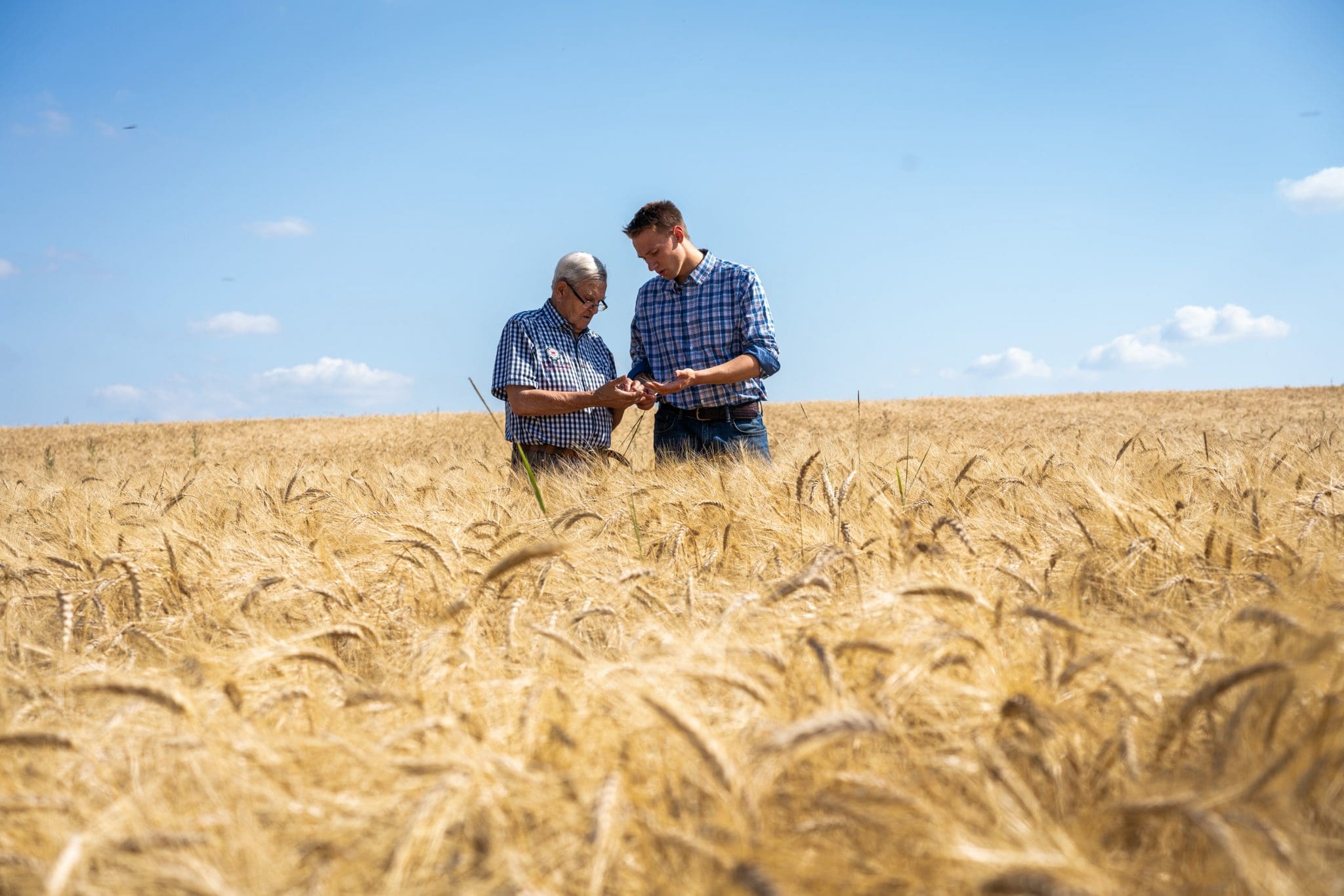 BASF starts global registration for new insecticide ingredient - Grain ...