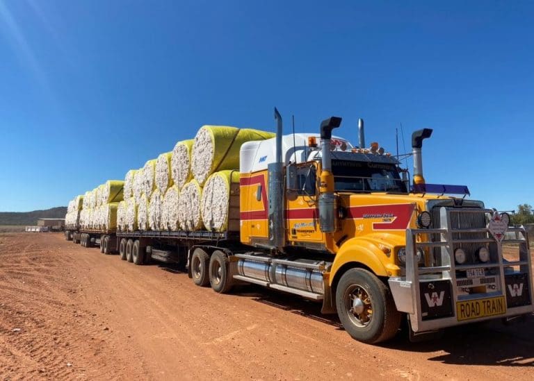WA govt pledges $4M to progress Ord cotton gin - Grain Central