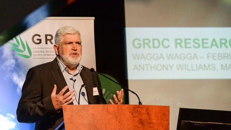 Wagga Wagga research update draws record crowd + PICS - Grain Central