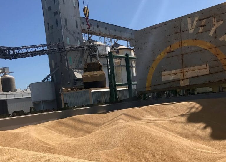 Boolah/PURE ups stumps in Brisbane after 1Mt drought task - Grain Central