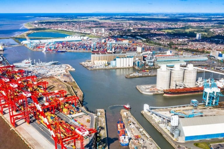 Australia Jan canola exports at 519,132t up 79pc on Jan 2020 - Grain ...
