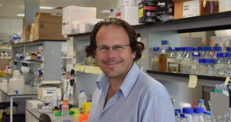 New herbicide solution inspired by cholesterol medicine - Grain Central