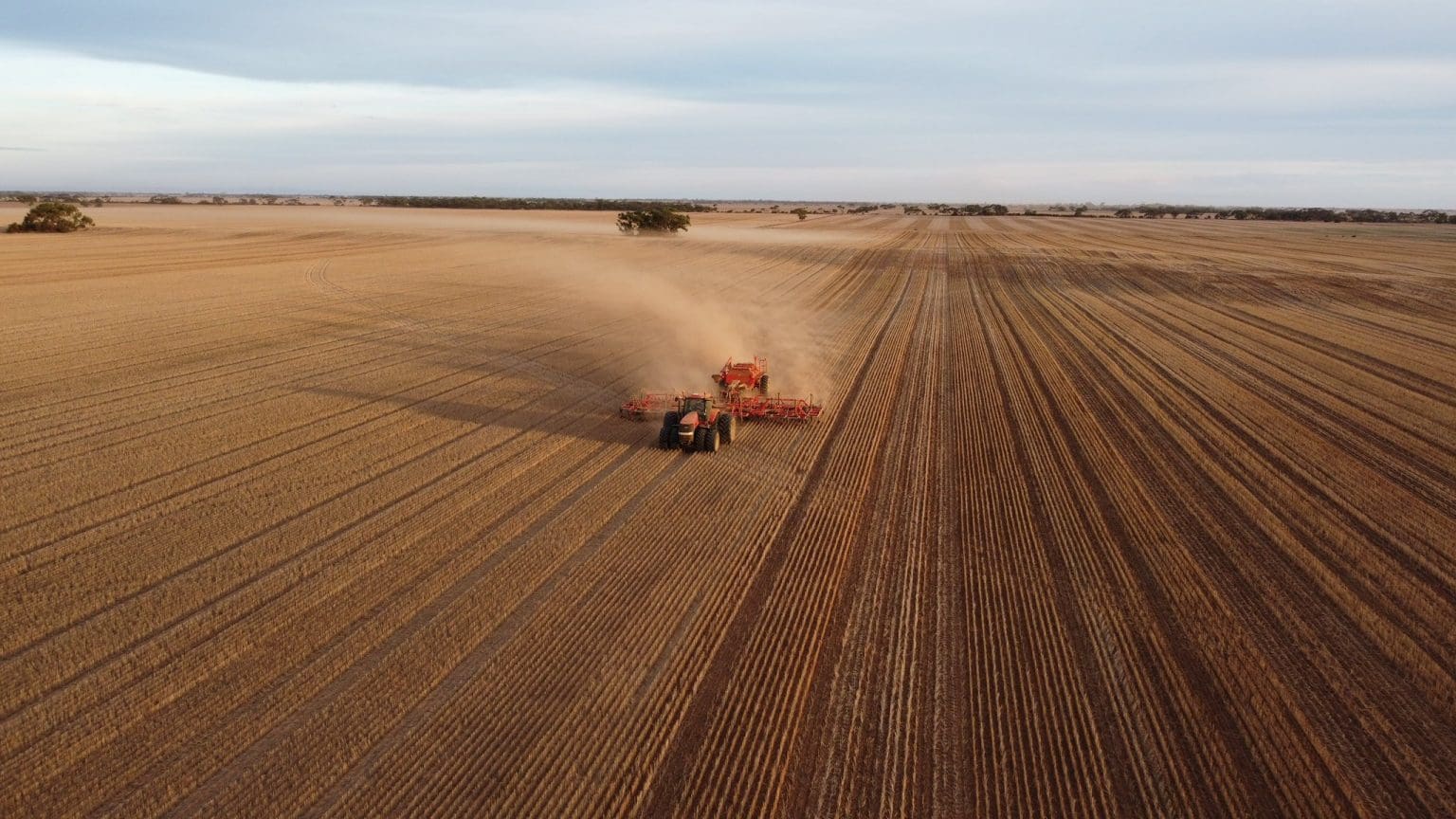 Pulse Update: Lentils lift further, India open to mungbeans - Grain Central