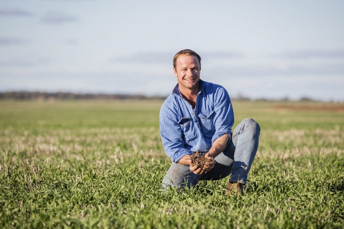 Soil amelioration strategies revised as sodic test comes under question ...