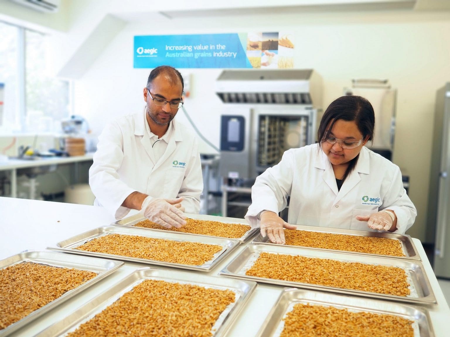 Commercial partners sought for novel Australian oat products - Grain ...