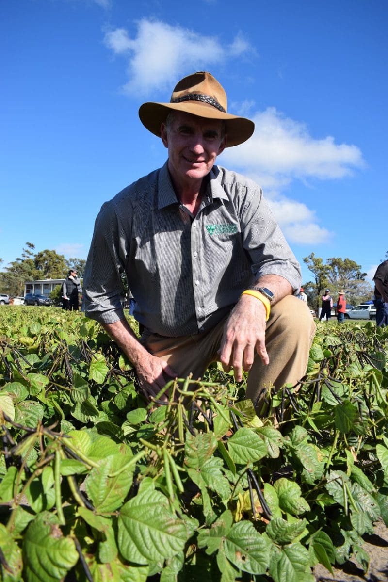 Growers weigh up options for big summer crop plant - Grain Central