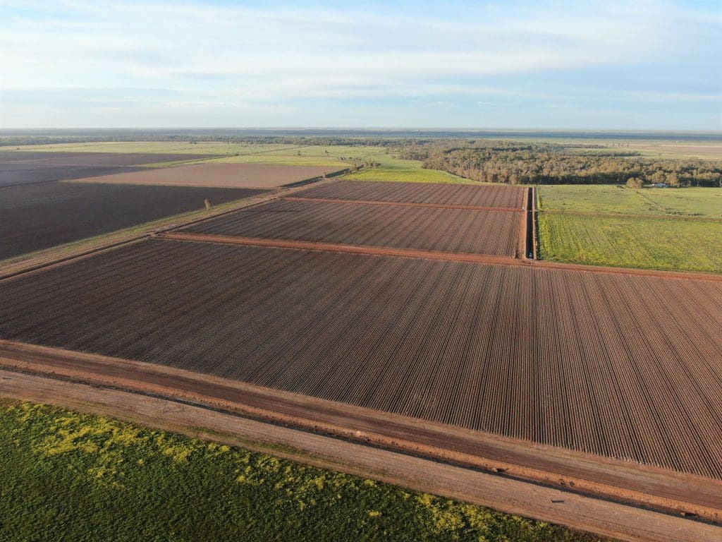 Cobran lists as latest Westchester offering - Grain Central