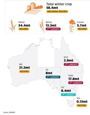 Record year for Australian winter crop production: ABARES - Grain Central