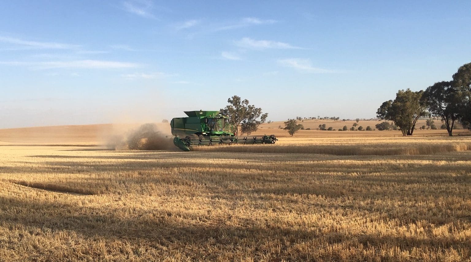 Stop-start WA harvest yielding better than expected - Grain Central