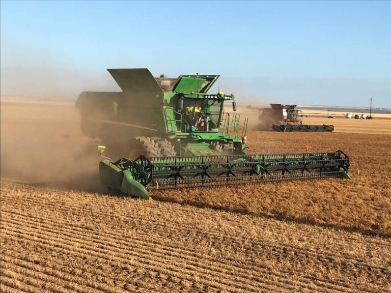 Harvest delays continue as contractors make tough decisions - Grain Central