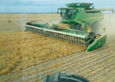 Pulse Australia sees big crop coming in solid market - Grain Central