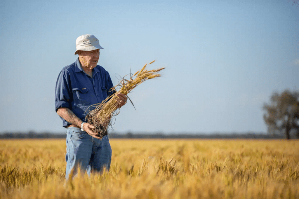 Rimanui Farms buys Tiela for $18.5M - Grain Central