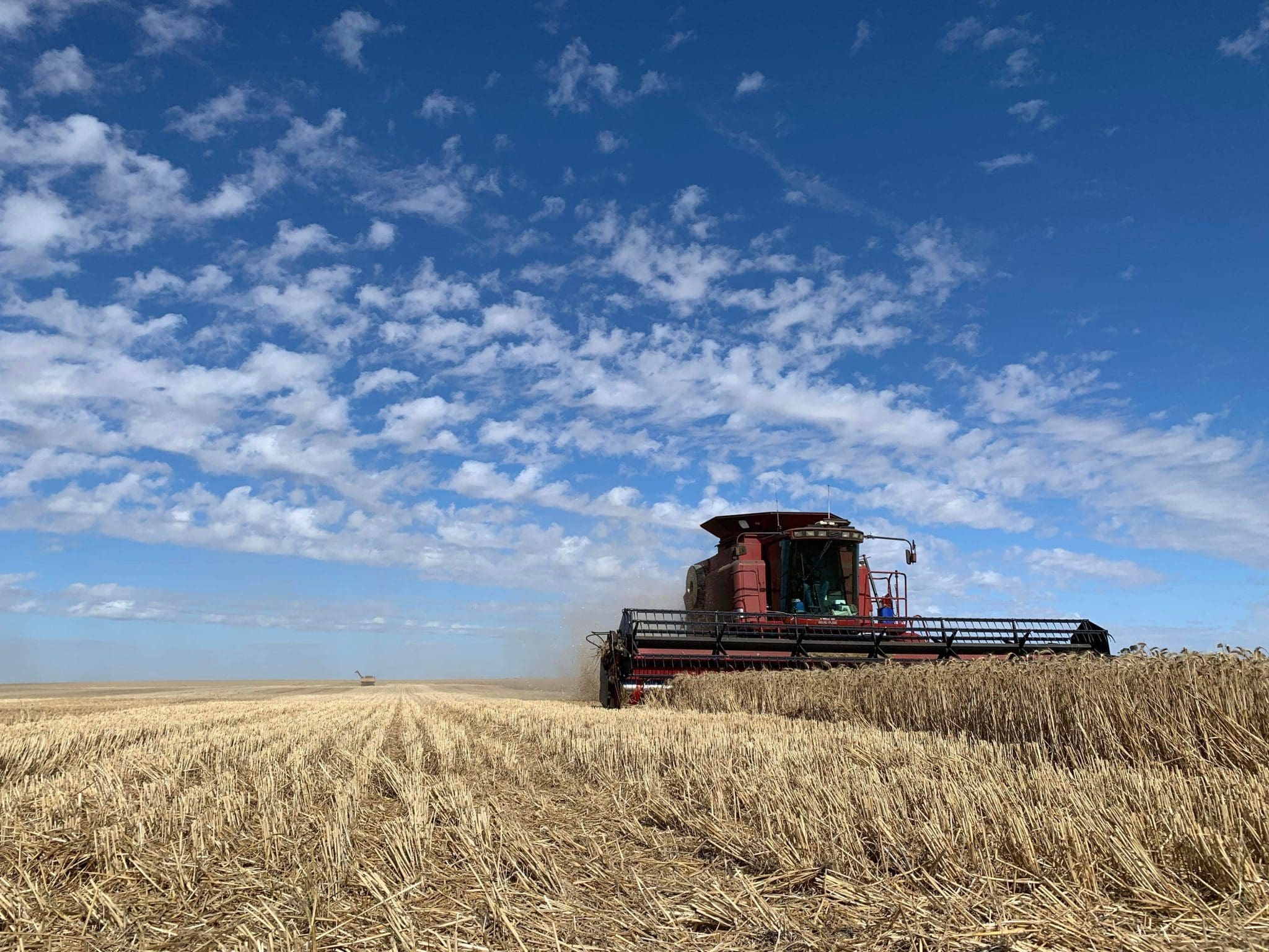 CBH harvest intake passes 9Mt - Grain Central